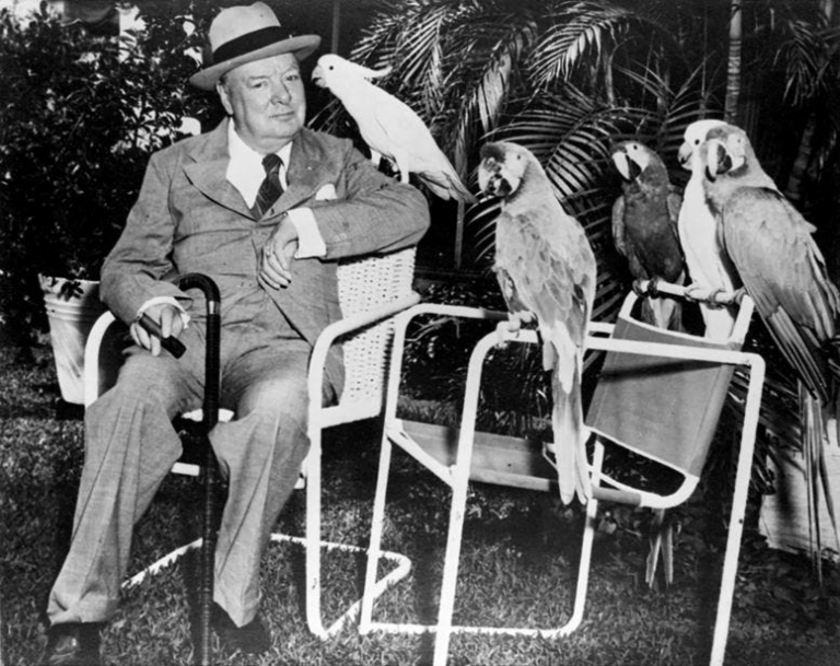 Winston Churchill: The First Rock Star - International Churchill Society