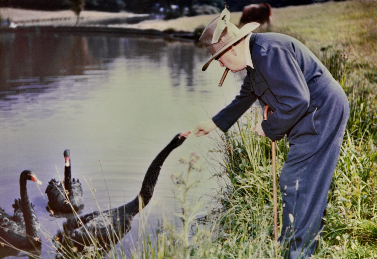 Working in Winston’s Animal Kingdom - International Churchill Society